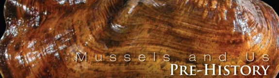 FMCS - Freshwater Mussels